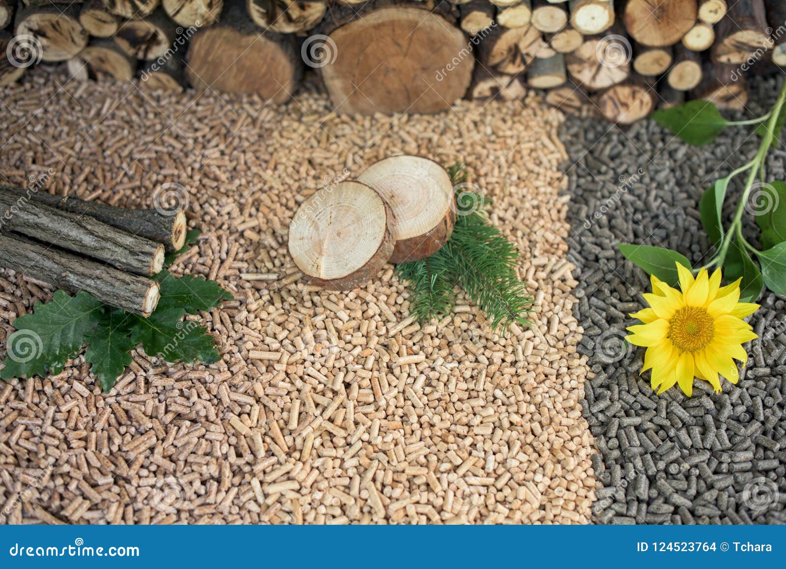 Different Kind of Renewable Materials Stock Photo - Image of ...