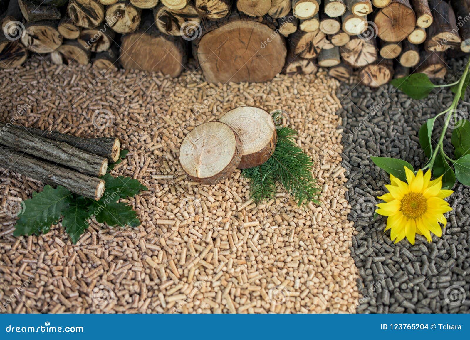 Three kind of pellets stock photo. Image of natural - 123765204