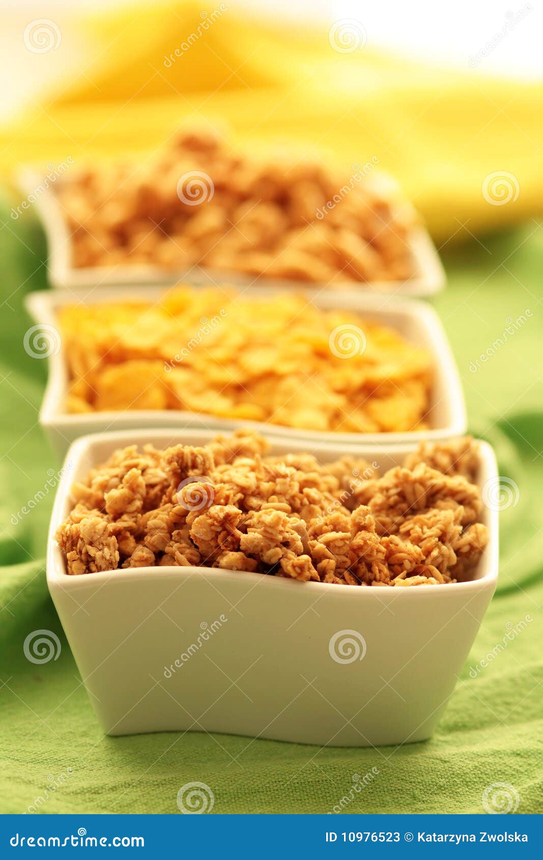 Three Kinds of Various Flakes Stock Image - Image of honey, kinds: 10976523