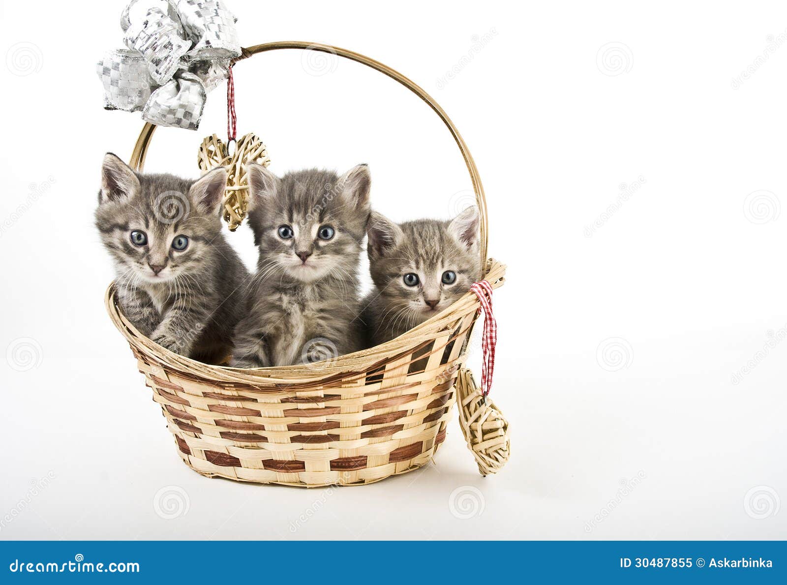 Three kittens in basket stock image. Image of funny, small - 30487855