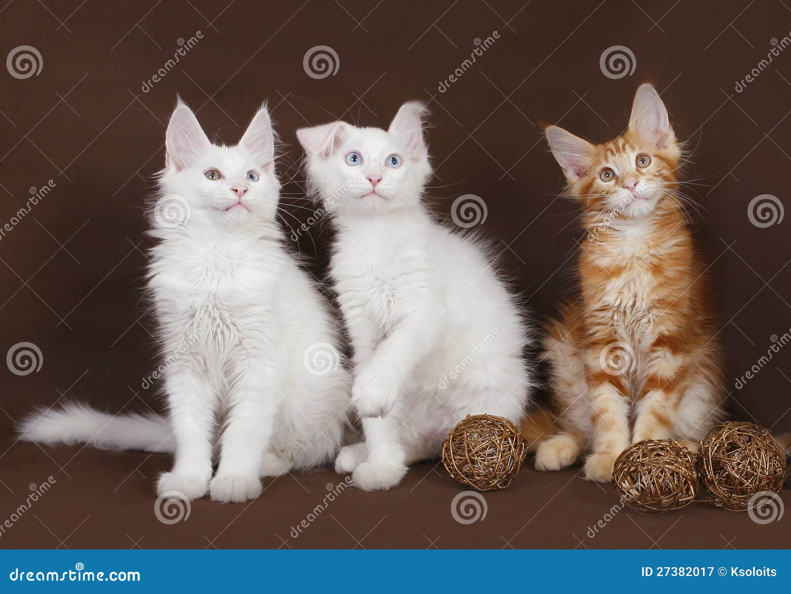 Three Kittens 4, Vintage Illustration Cartoon Vector | CartoonDealer ...