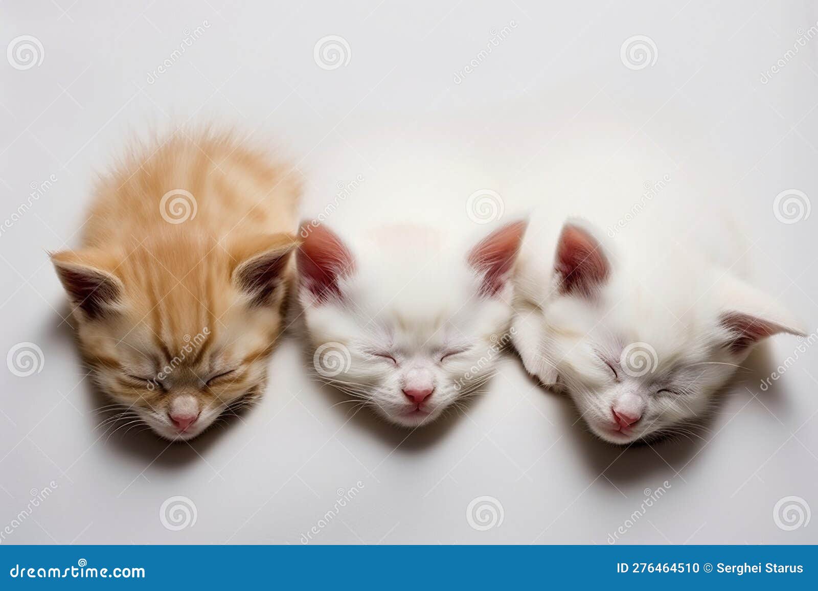 Three Kittens Are Sleeping Together On A White Surface. AI Generative ...