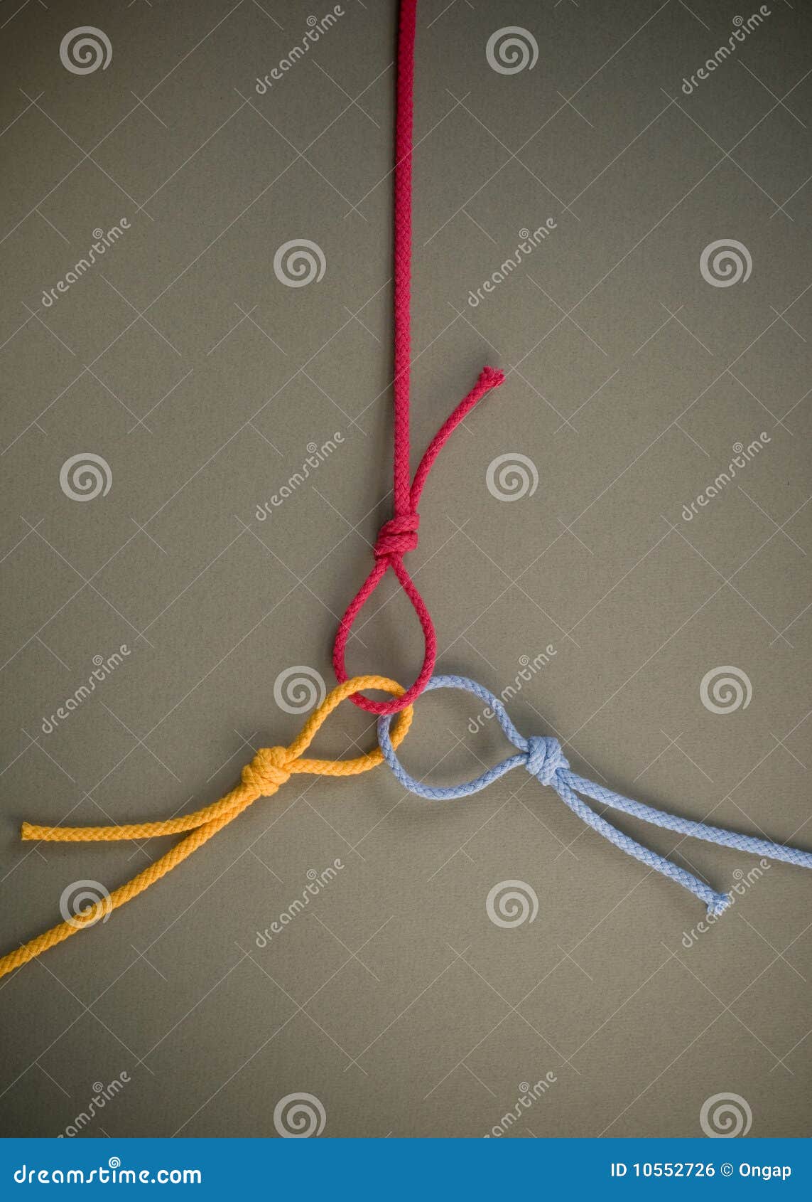 Three knots stock photo. Image of security, concepts - 10552726