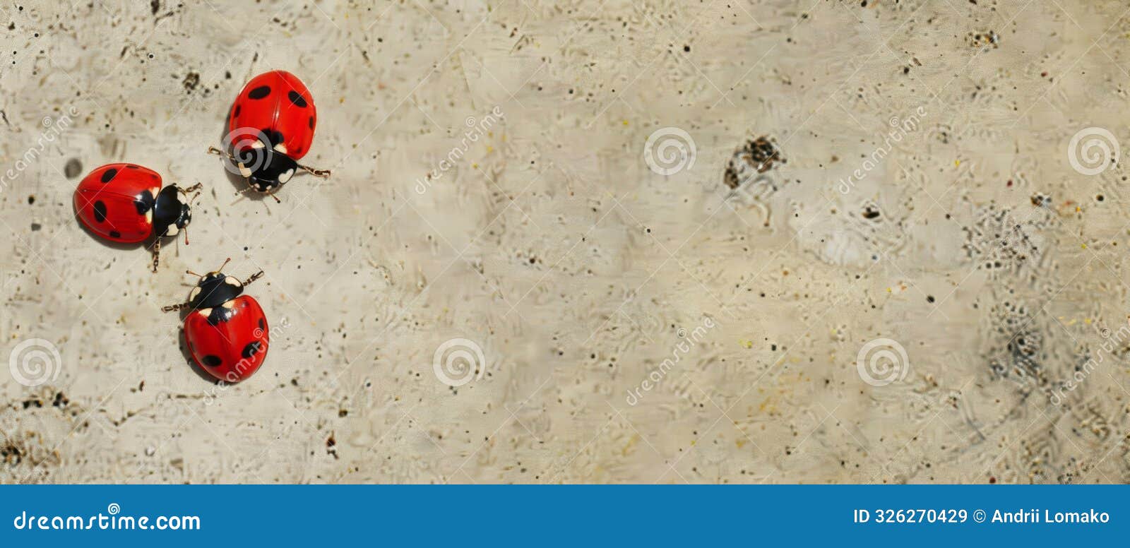Three Ladybugs on a Light Brown Surface Stock Image - Image of right ...