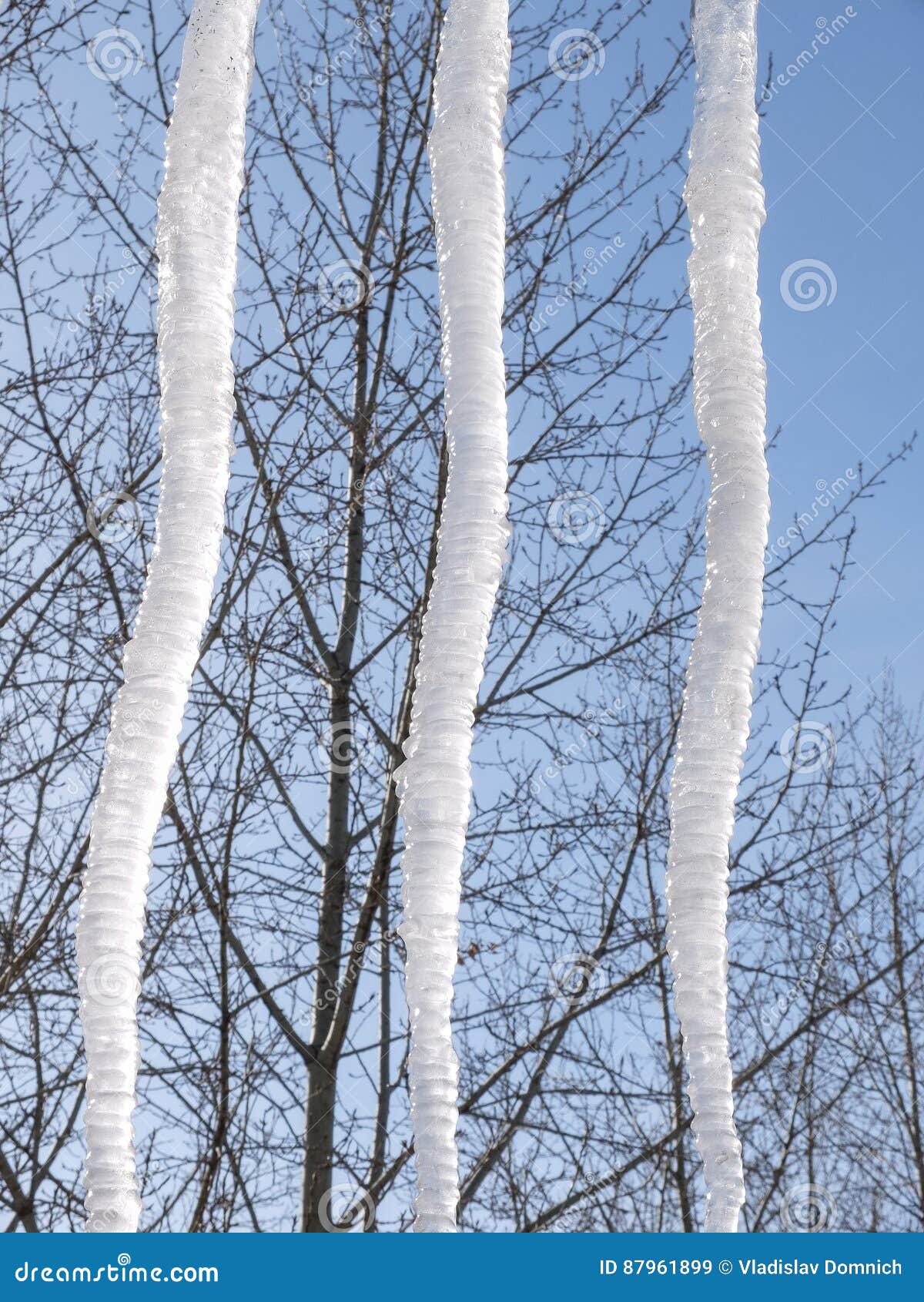 Three large icicles stock image. Image of outdoor, nature - 87961899