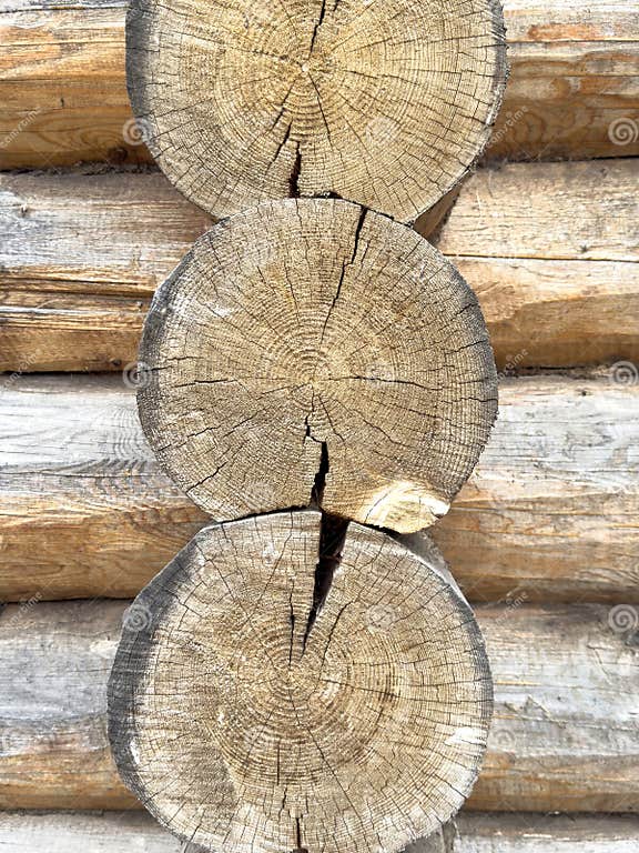 Three Large Logs that Have Been Split in Half, Creating a Unique Stock ...