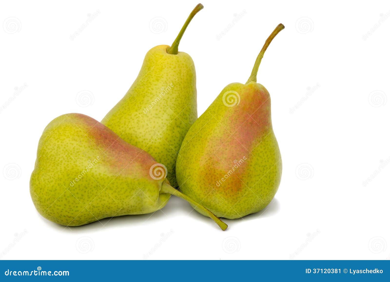 Three Large Pears on a White Background Stock Image - Image of aromatic ...