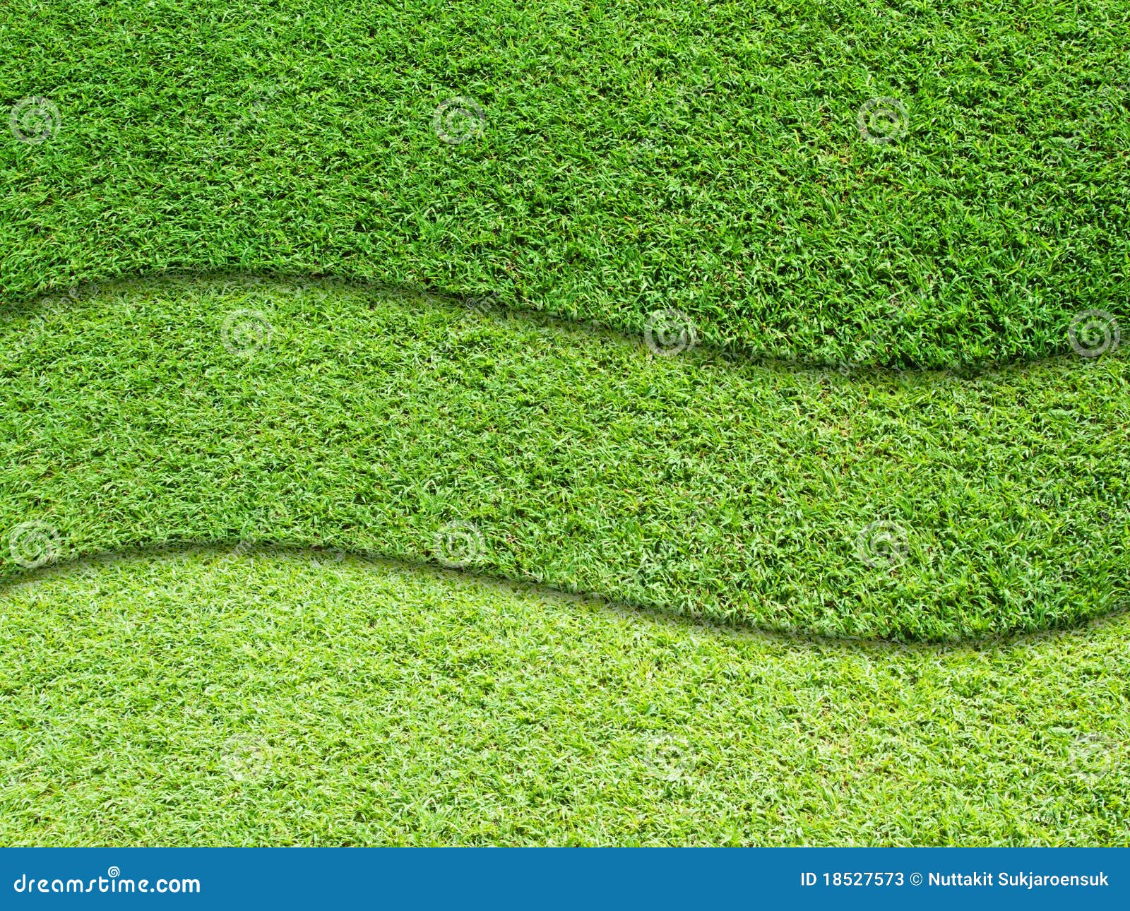 Three layer of green grass stock image. Image of leaf - 18527573