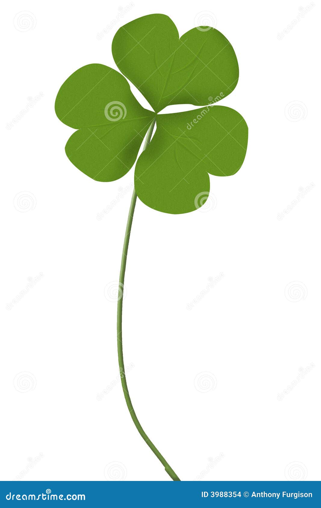Three leaf clover stock illustration. Illustration of leprechaun - 3988354