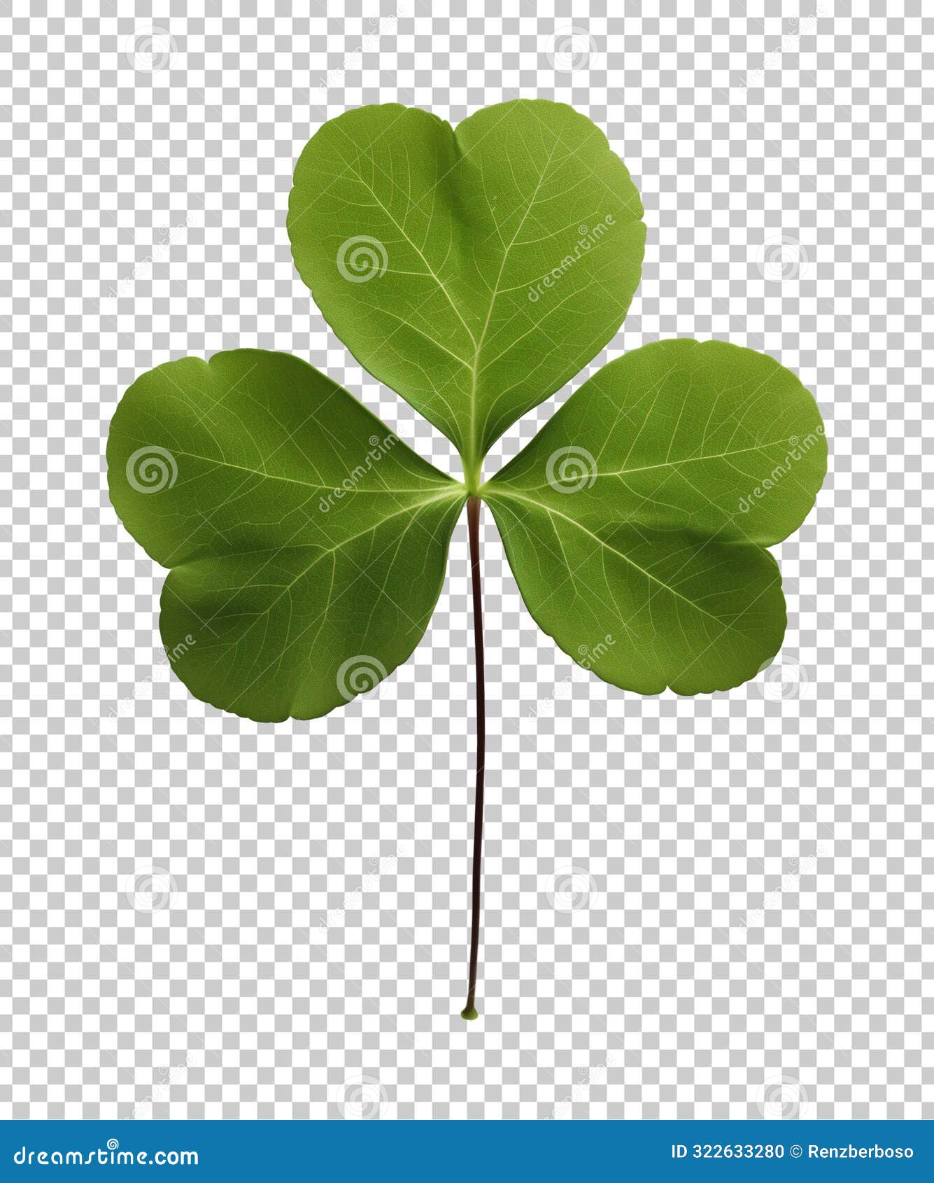 Three 3 Leaf Clover Isolated on Transparent Background PNG Stock Photo ...