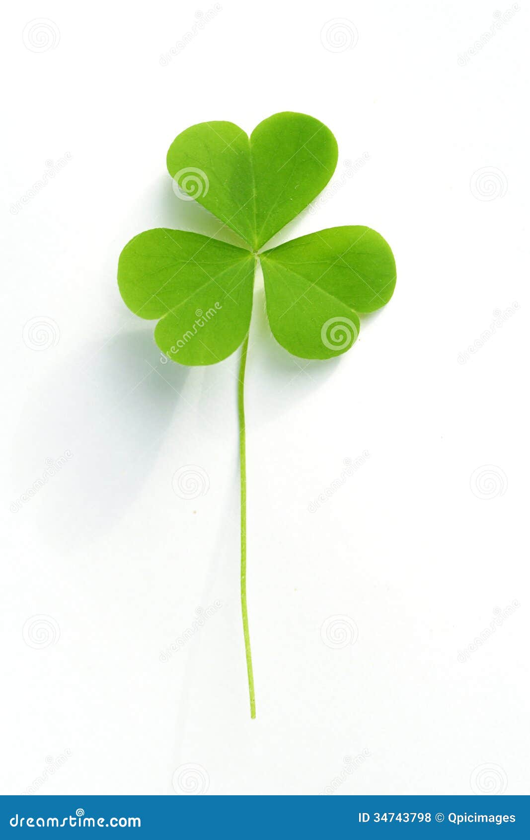 Three Leaf Clover And Green Leprechaun Hat Royalty-Free Stock Image ...