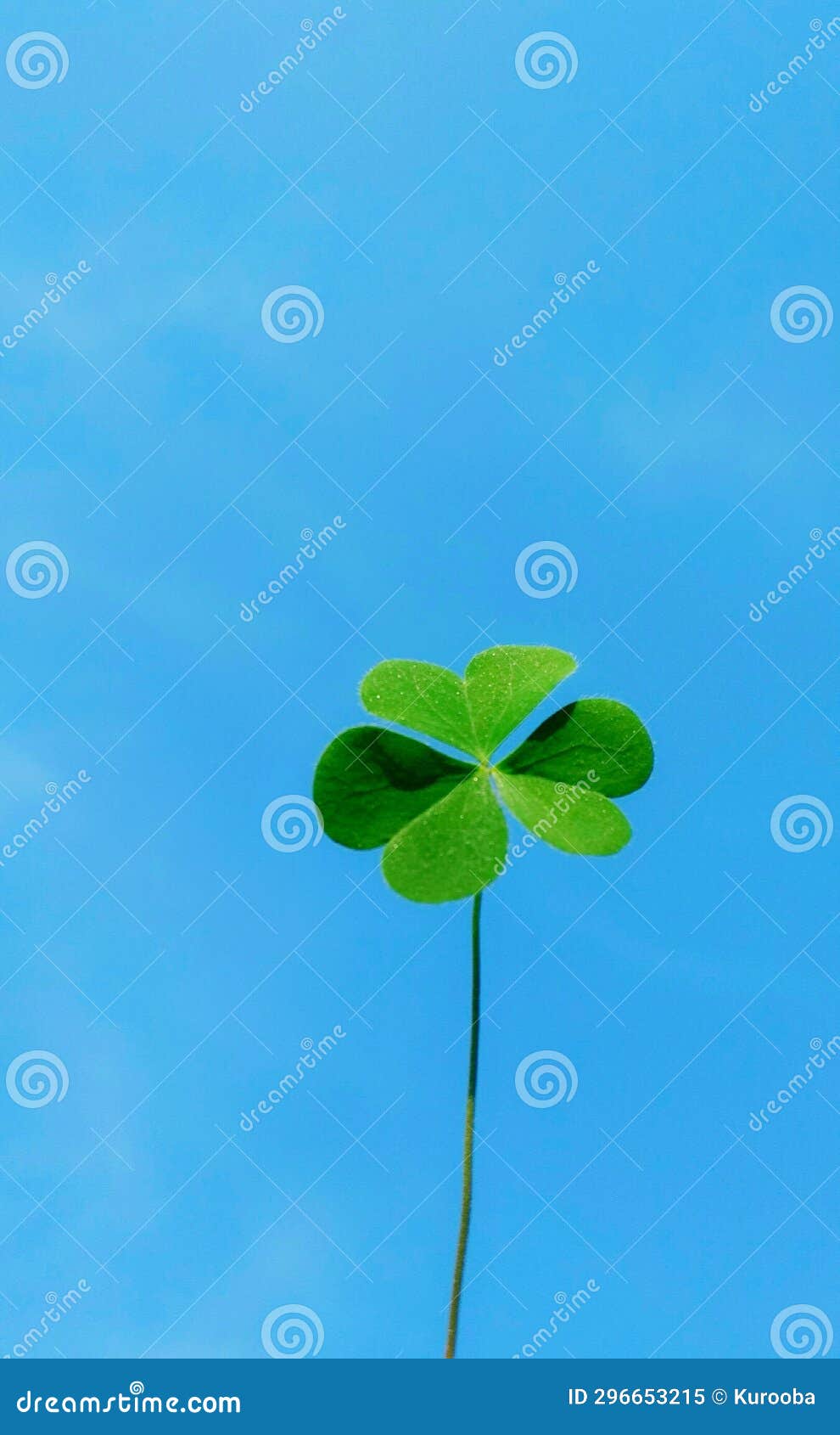 Clover Under Microscope Stock Photography | CartoonDealer.com #133885442