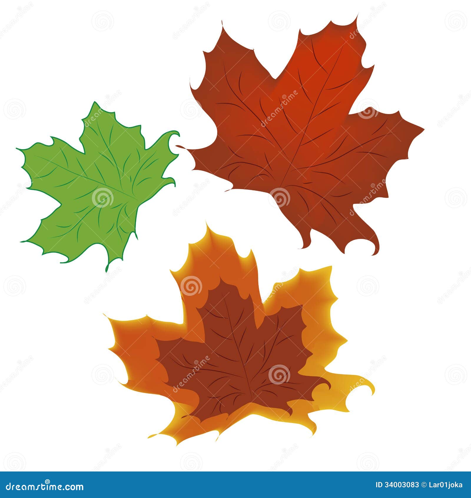 Three leafs stock vector. Illustration of plant, autumn - 34003083