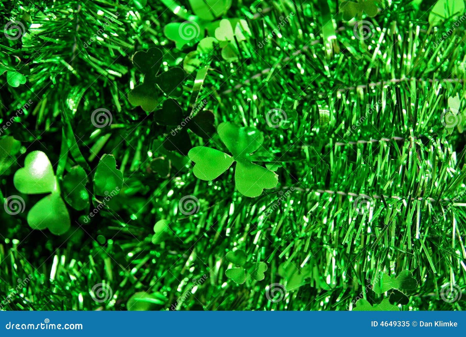 Three leaved clover stock image. Image of nature, fabaceae - 4649335
