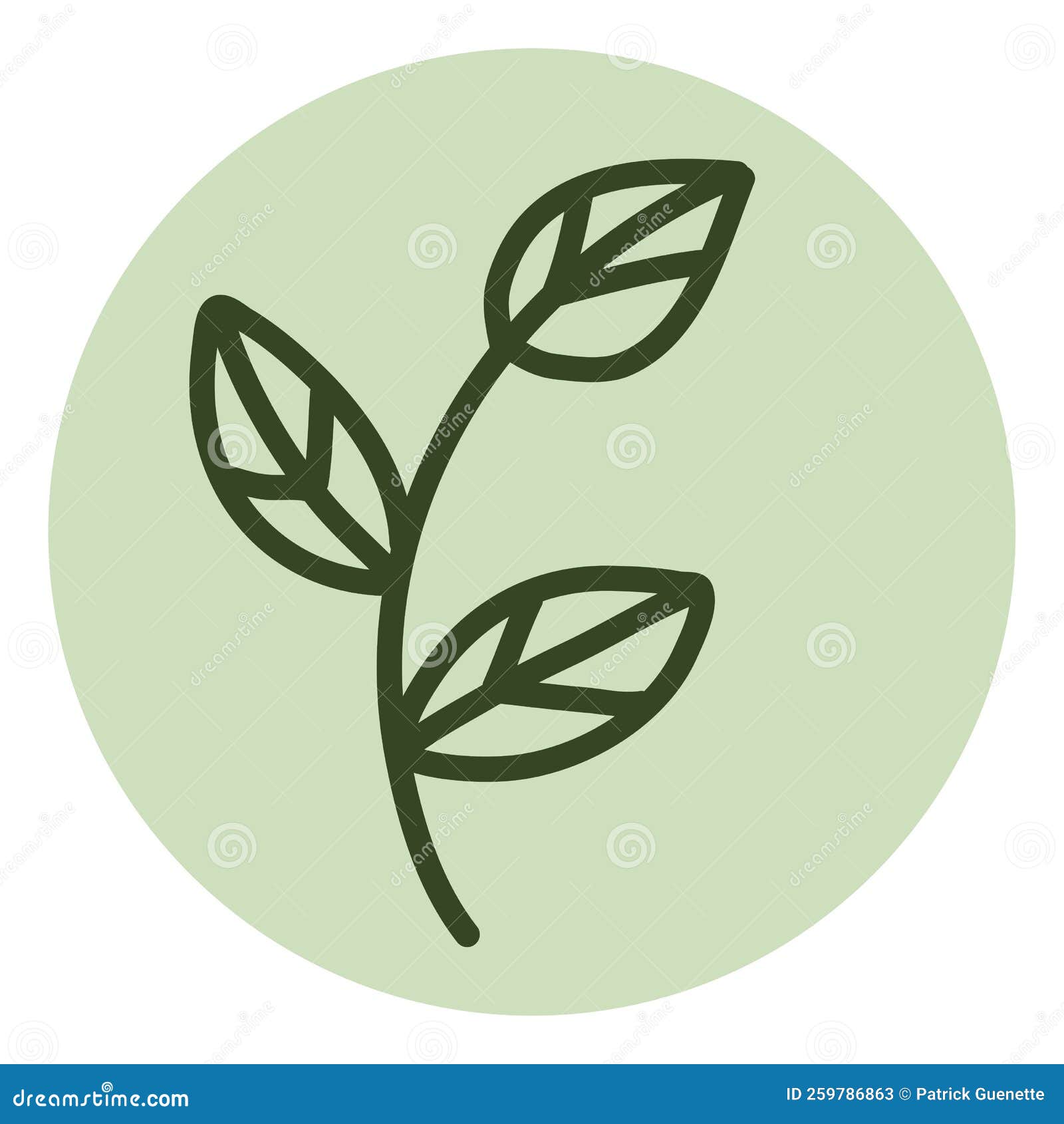 Three leaves, icon stock vector. Illustration of clover - 259786863