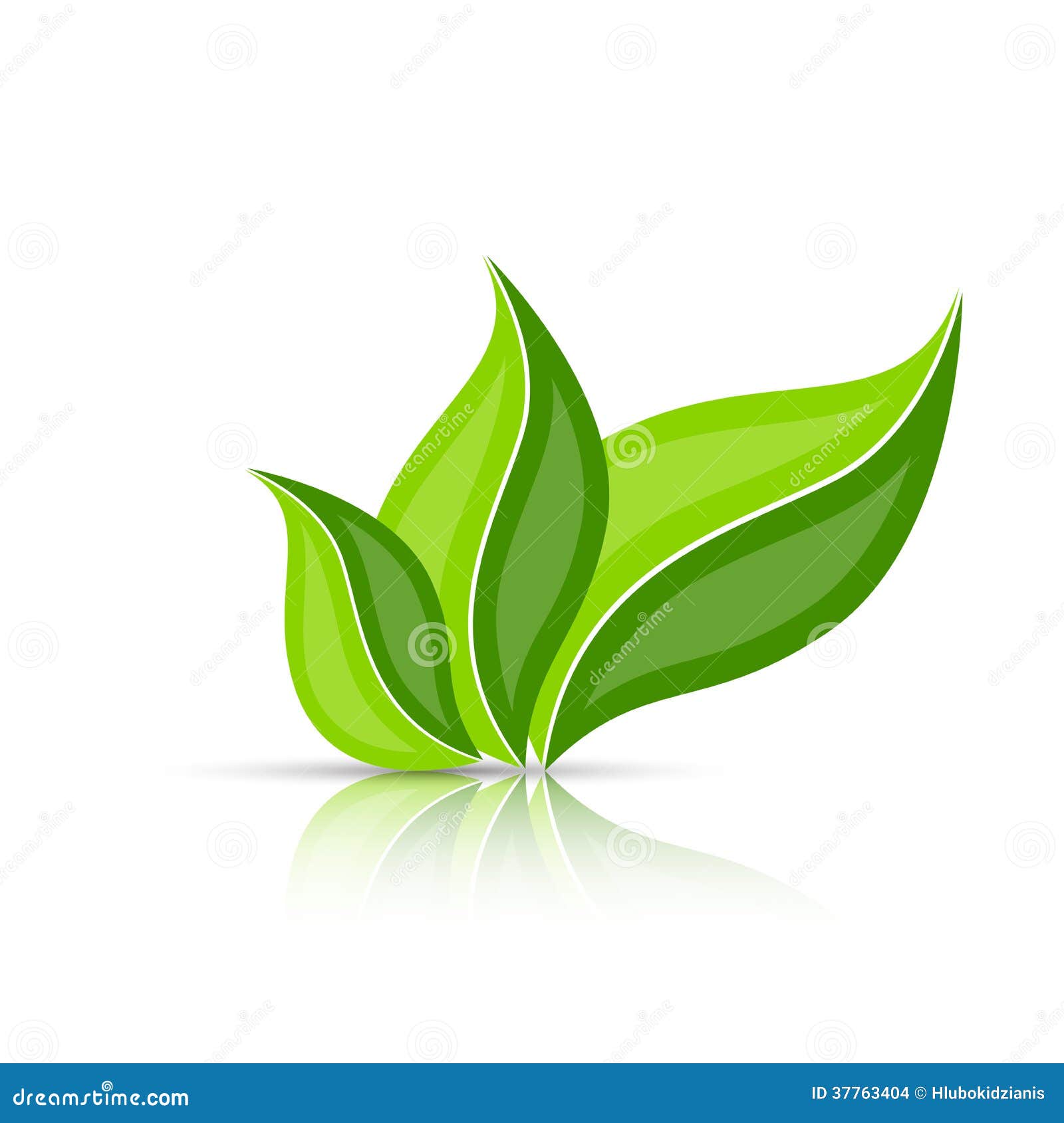 Three Leaves Isolated on White with Reflection Stock Vector ...