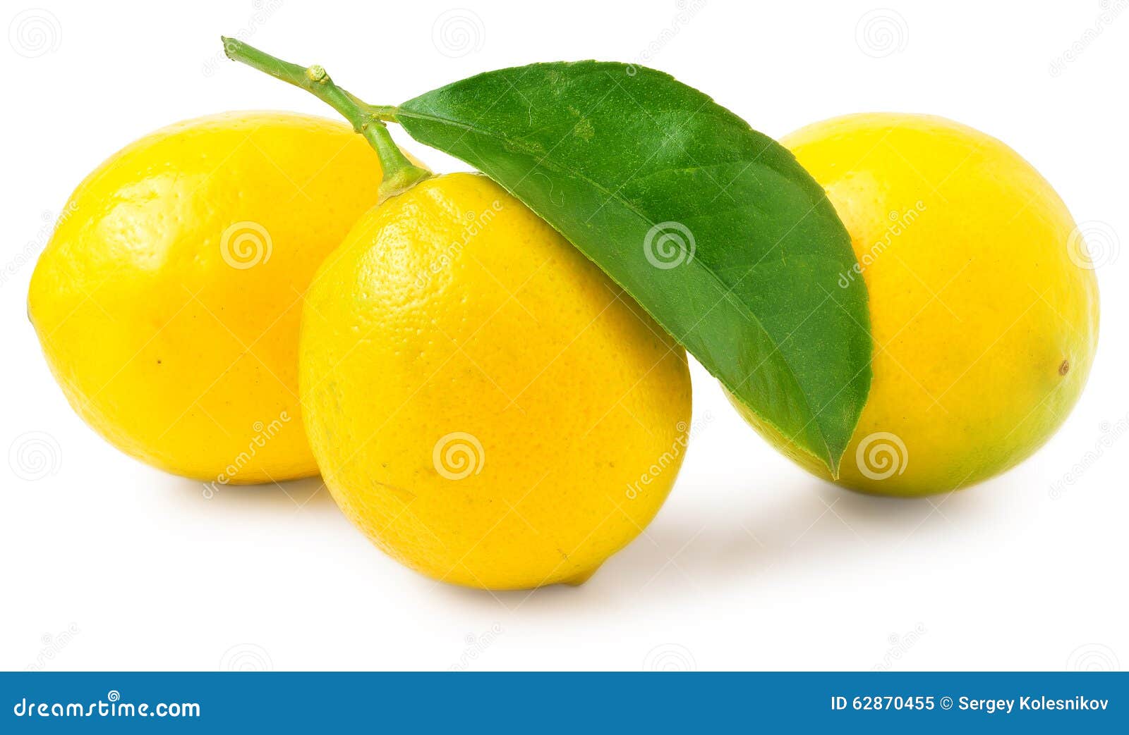 Three Lemons On A Branch On The Ground Background Royalty-Free Stock ...