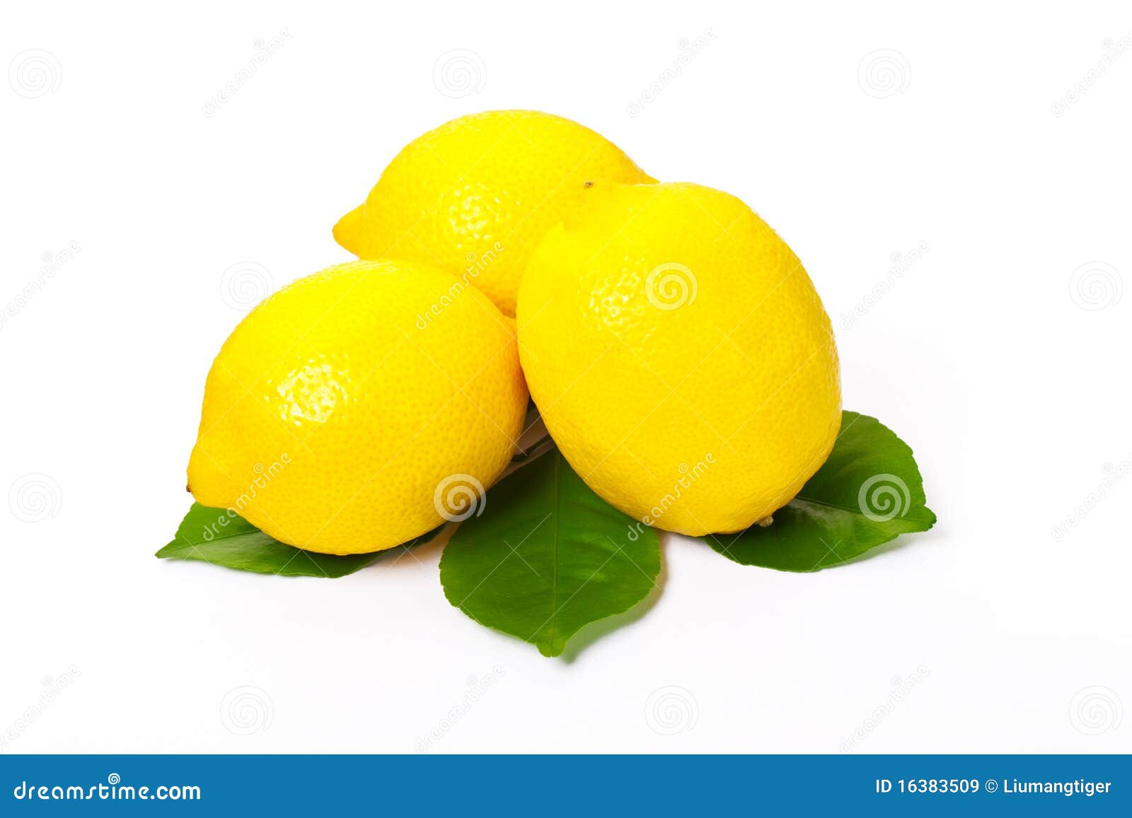 Three Lemons and Lemon Leaves Stock Image - Image of food, object: 16383509