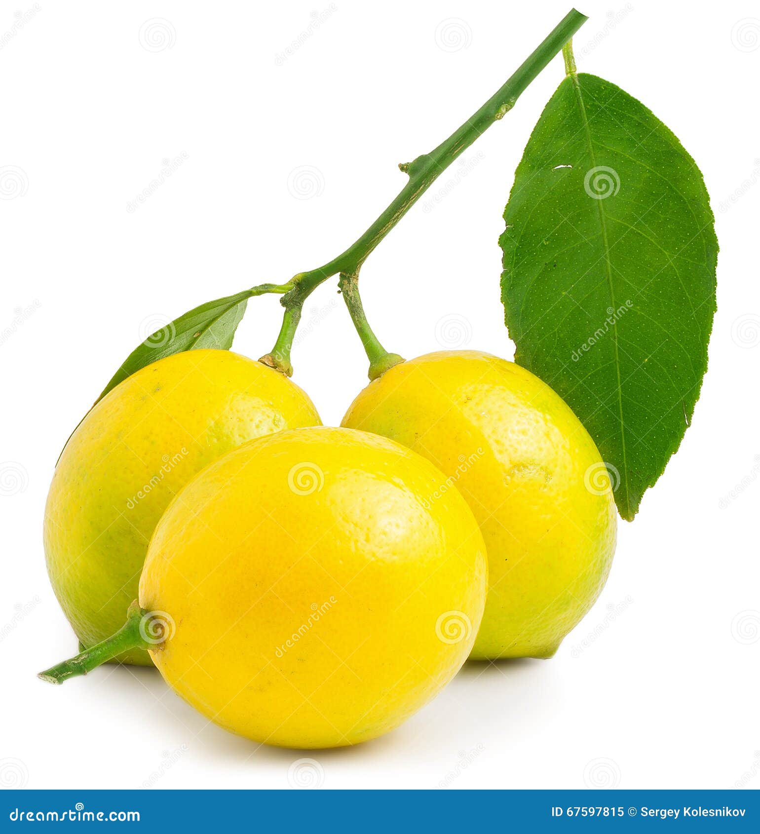 Three Lemons on the White Background Isolated Stock Image - Image of ...