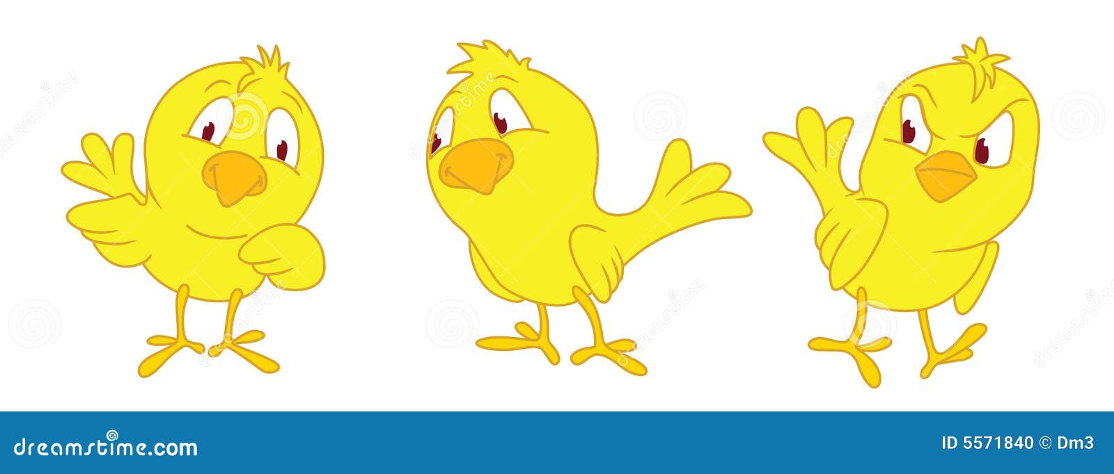Three little chicken stock vector. Illustration of poultry - 5571840