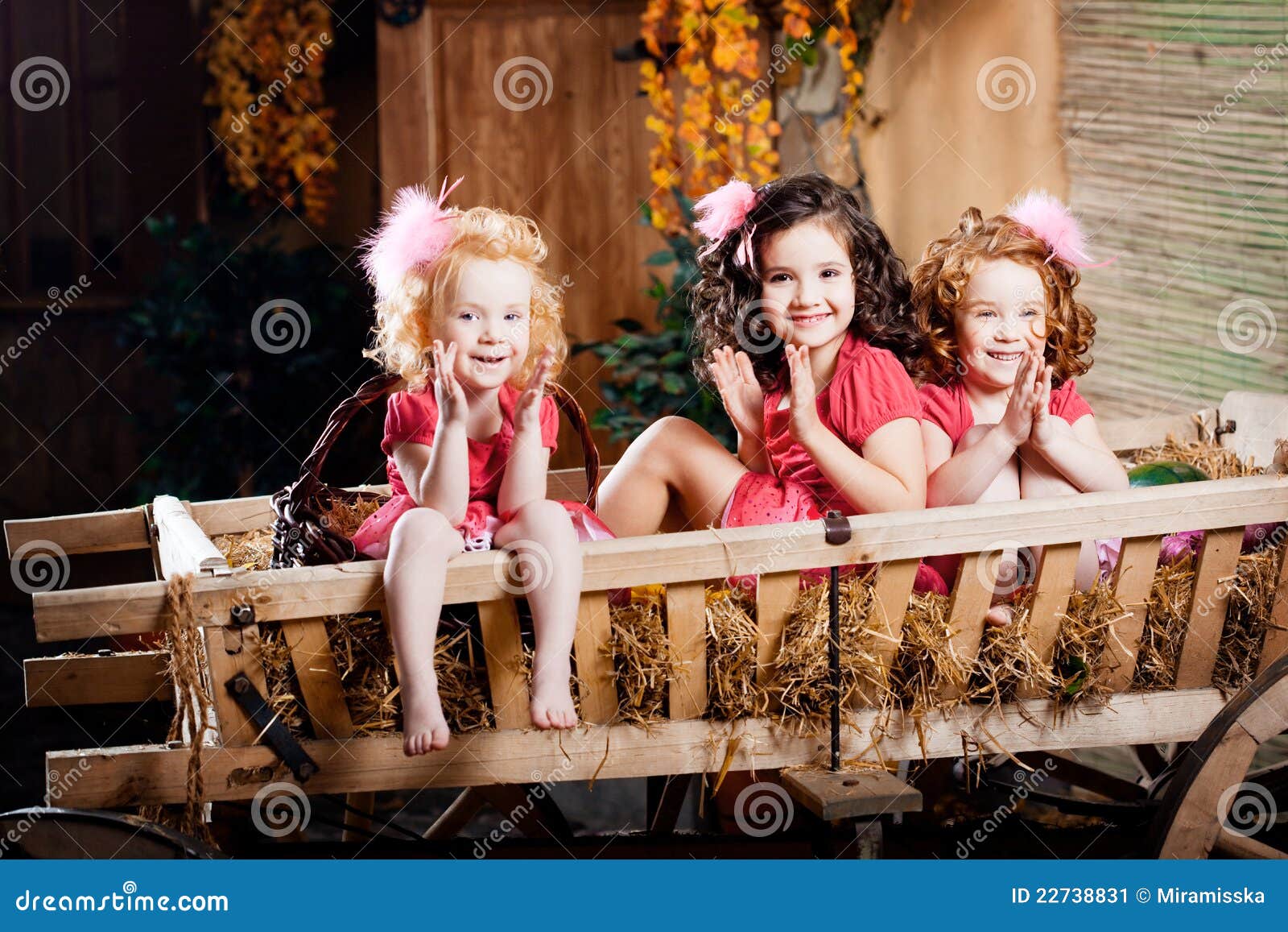 Three Little Pigs Royalty-Free Stock Photography | CartoonDealer.com ...