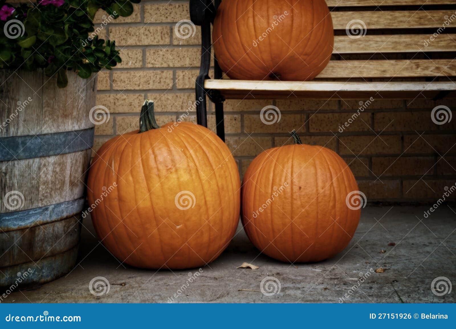 Three little pumpkins stock photo. Image of pumpkins - 27151926