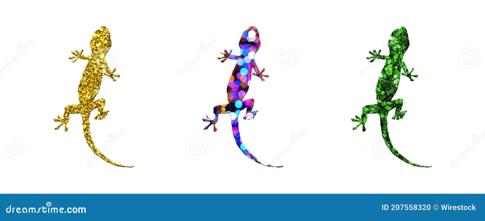 Three Lizards with Different Patterns Isolated on a White Background ...