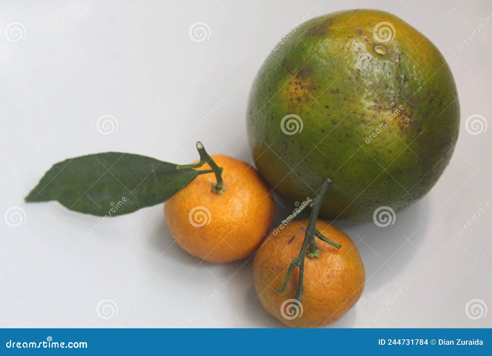 Three Local Oranges of Different Sizes Stock Photo - Image of closeup ...