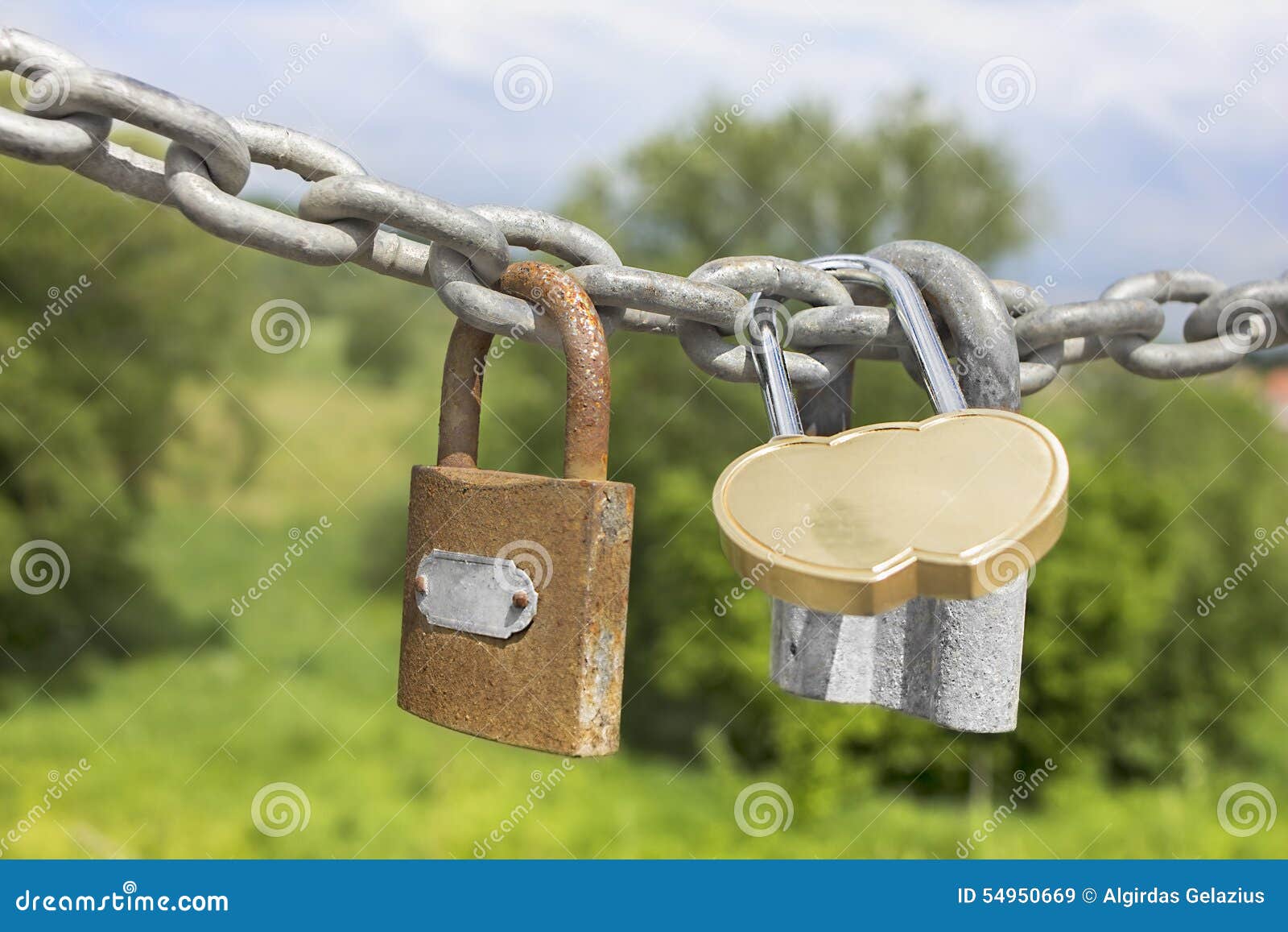 Three Locks on a Thick Galvanized Chain Stock Image - Image of gold ...