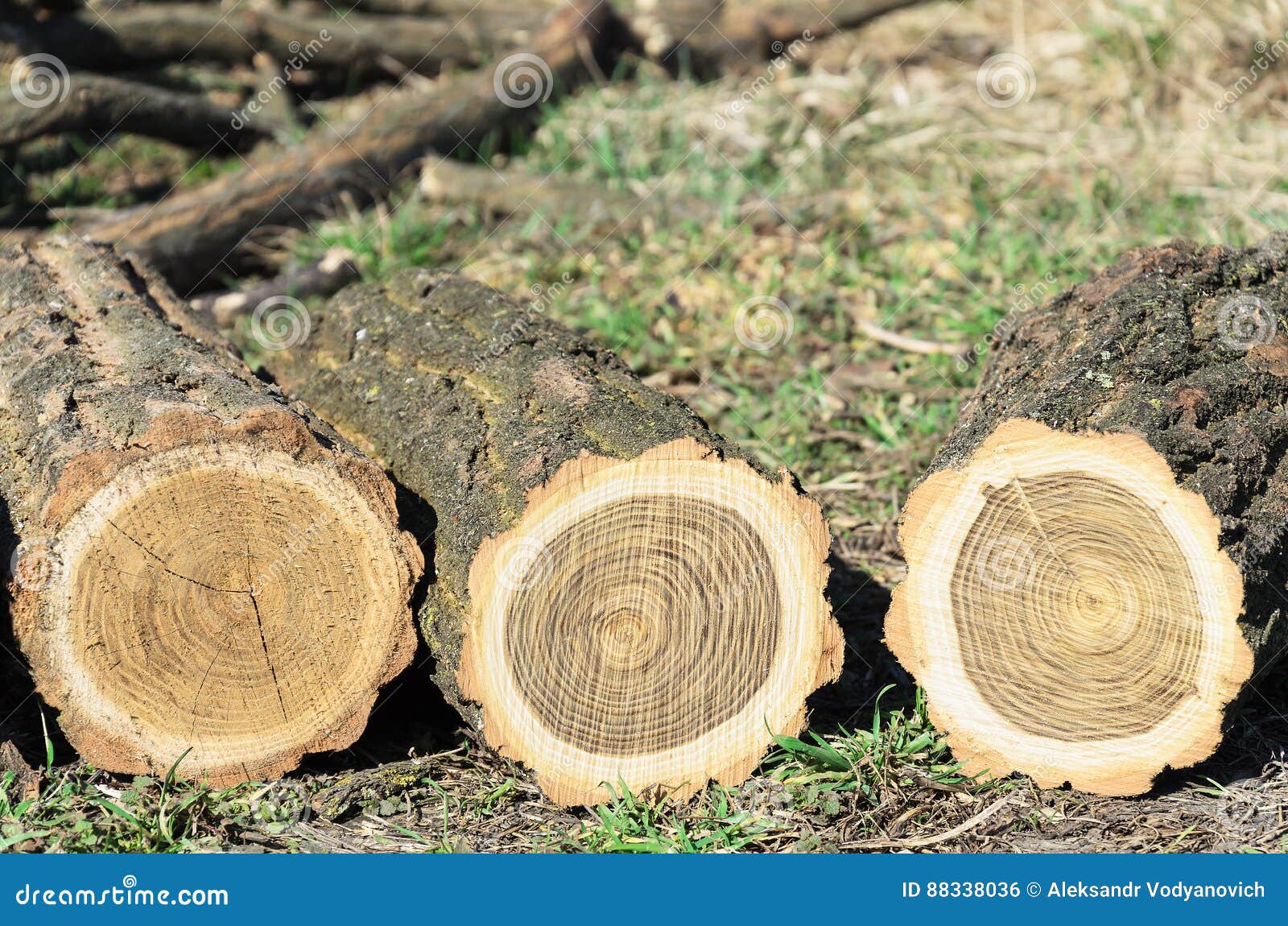Three logs stock photo. Image of furniture, three, background - 88338036