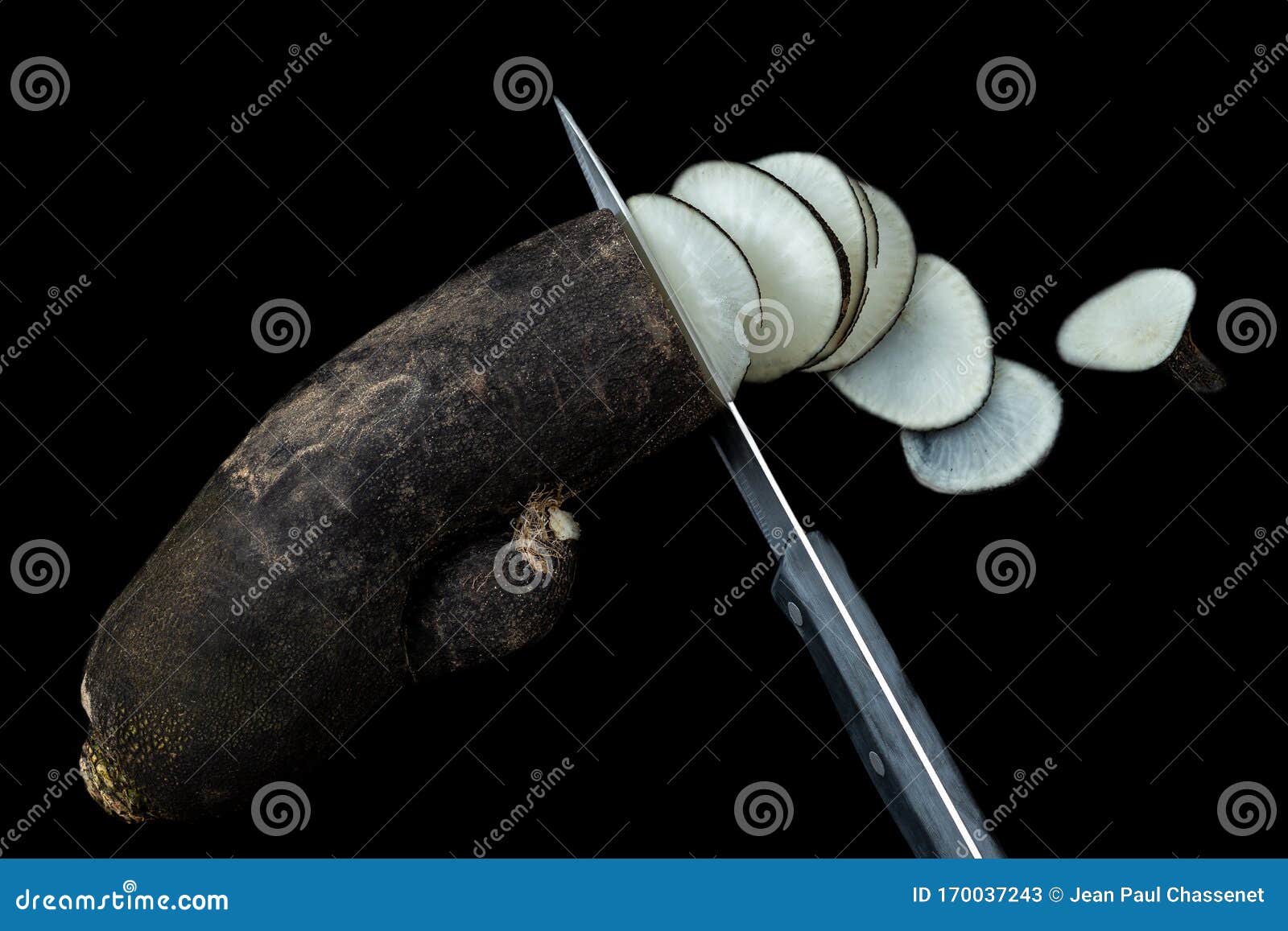Three Long Black Winter Radishes Raphanus Sativus Subsp. Niger and a ...