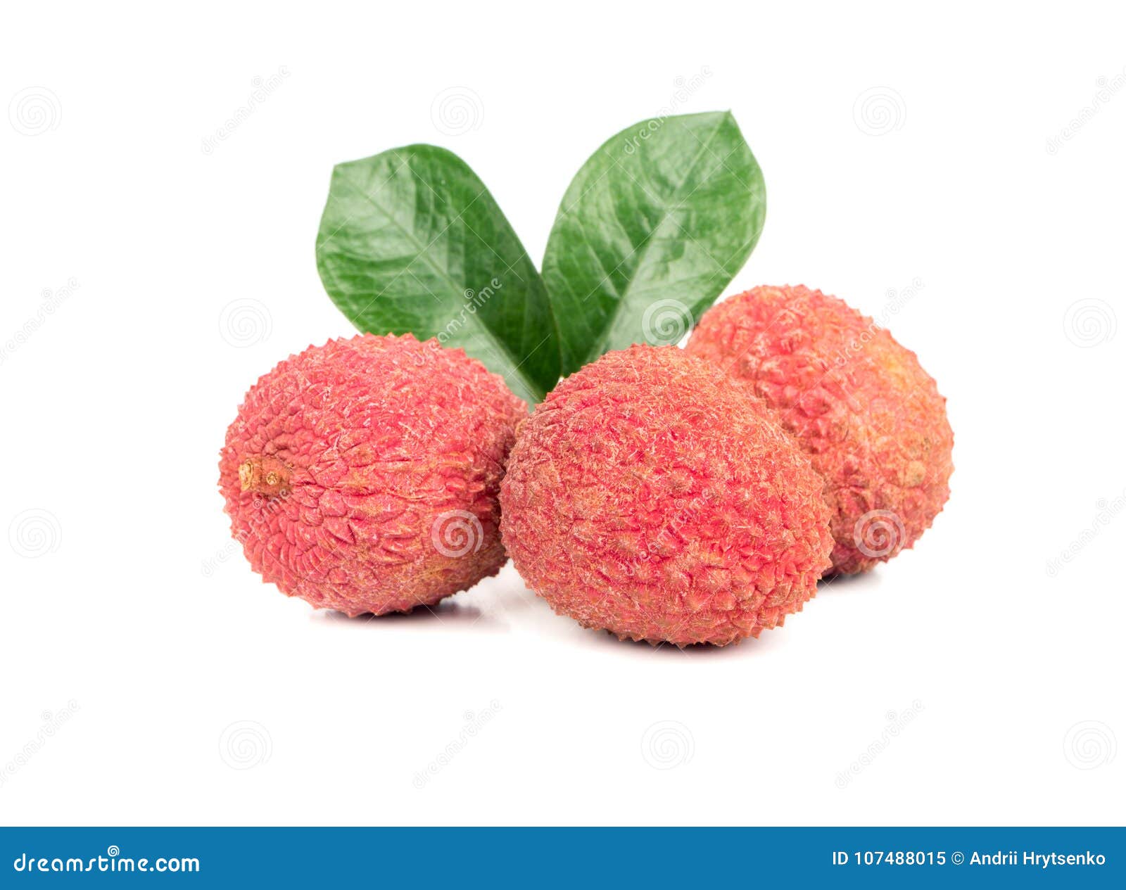 Three lychee fruits stock image. Image of pink, plum - 107488015