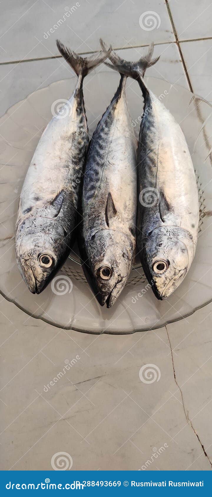Three Mackerel Fish on a Clear Plate Stock Image - Image of cooking ...