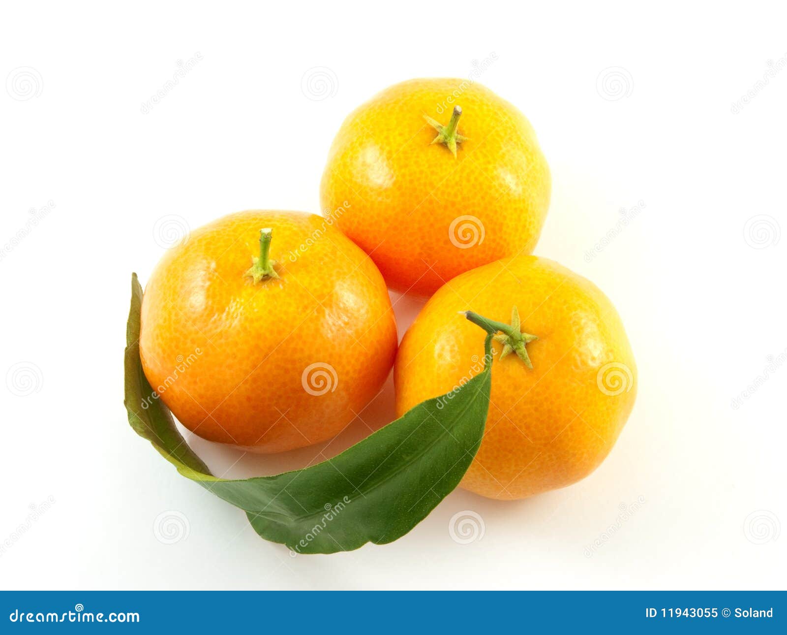 Three Mandarin with Leaf Isolated on White Backgro Stock Image - Image ...
