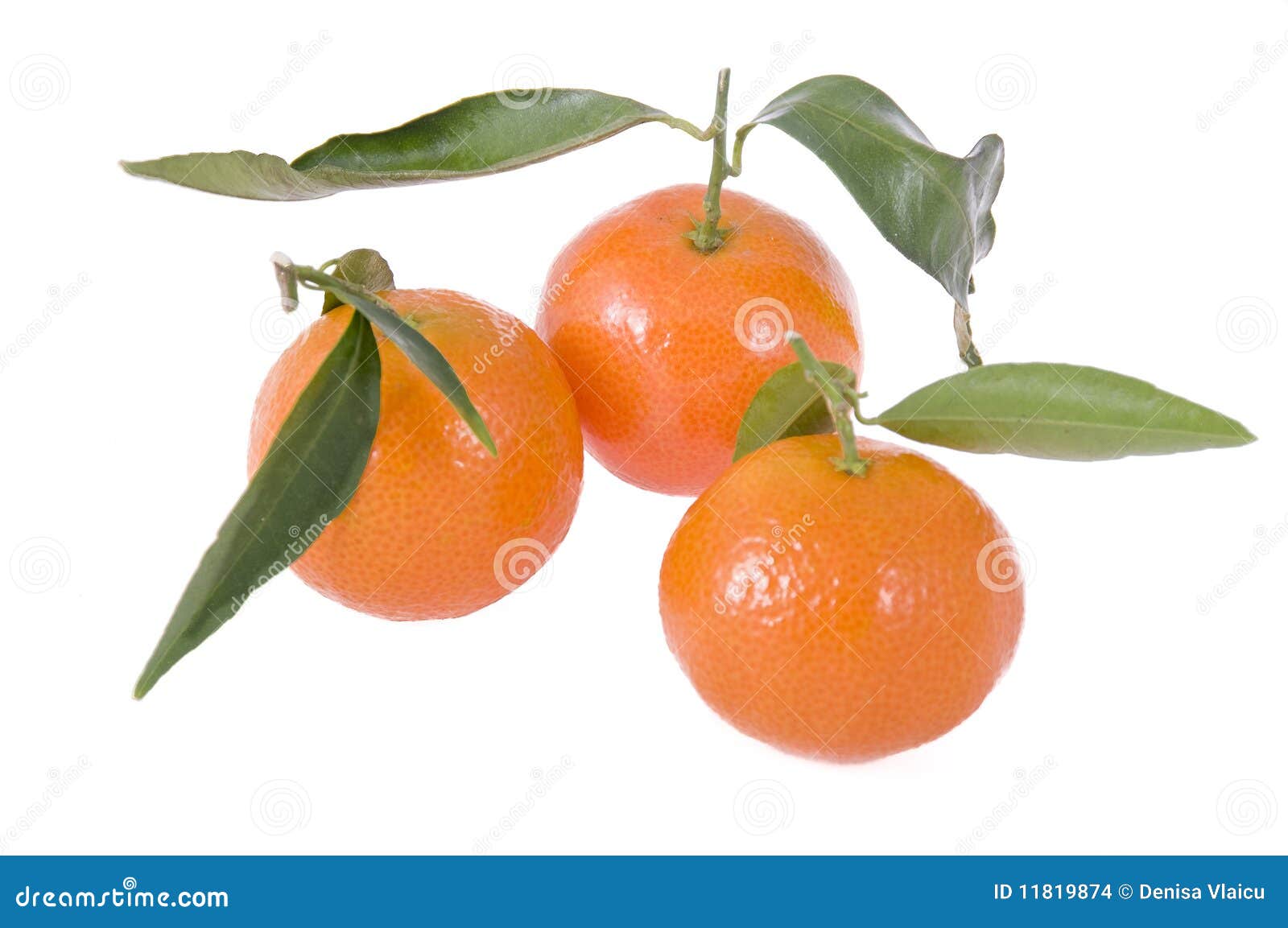 Three Mandarins with Leaves Stock Photo - Image of tasteful, color ...