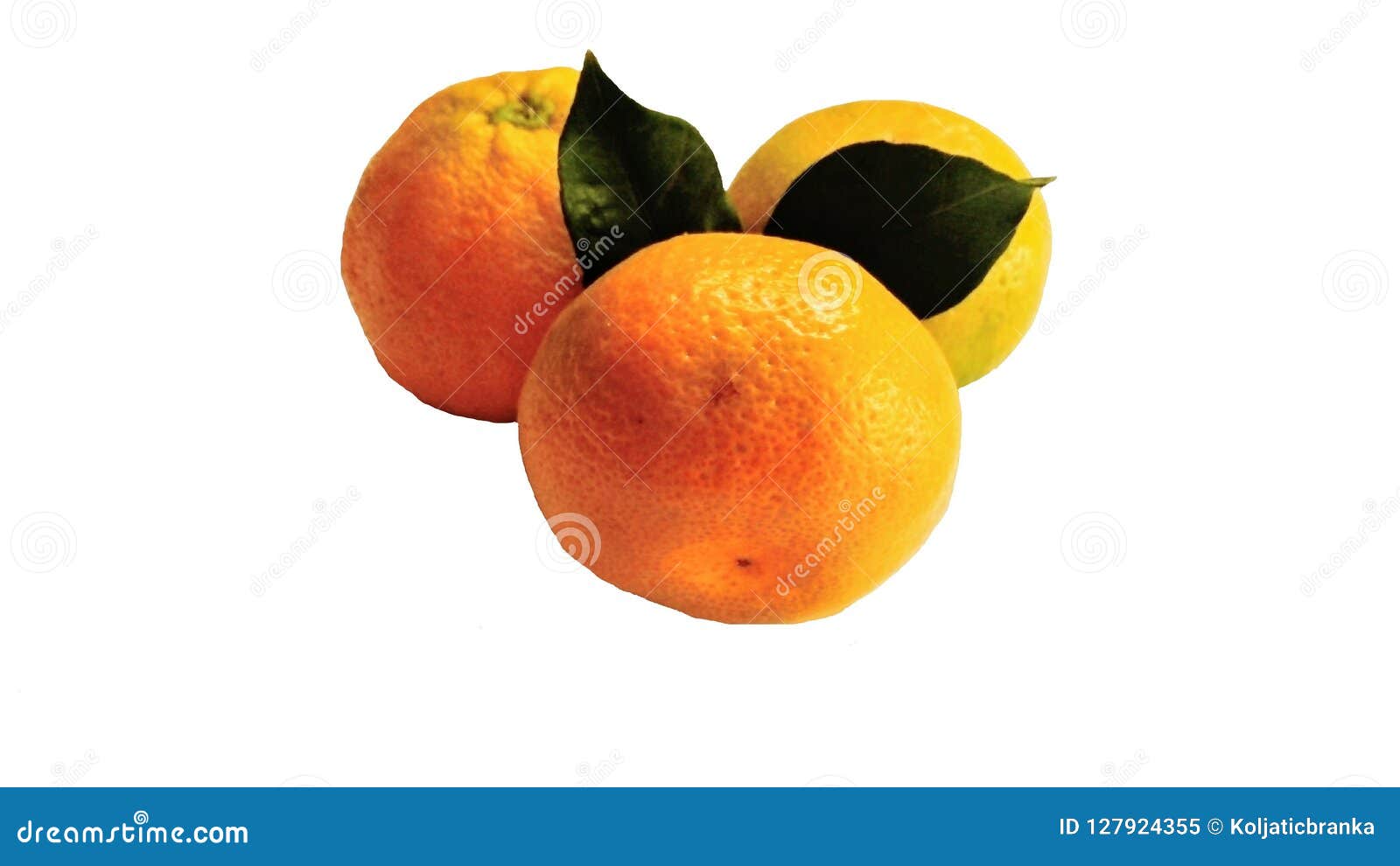 Three Mandarins with Leaves on a White Background Stock Image - Image ...