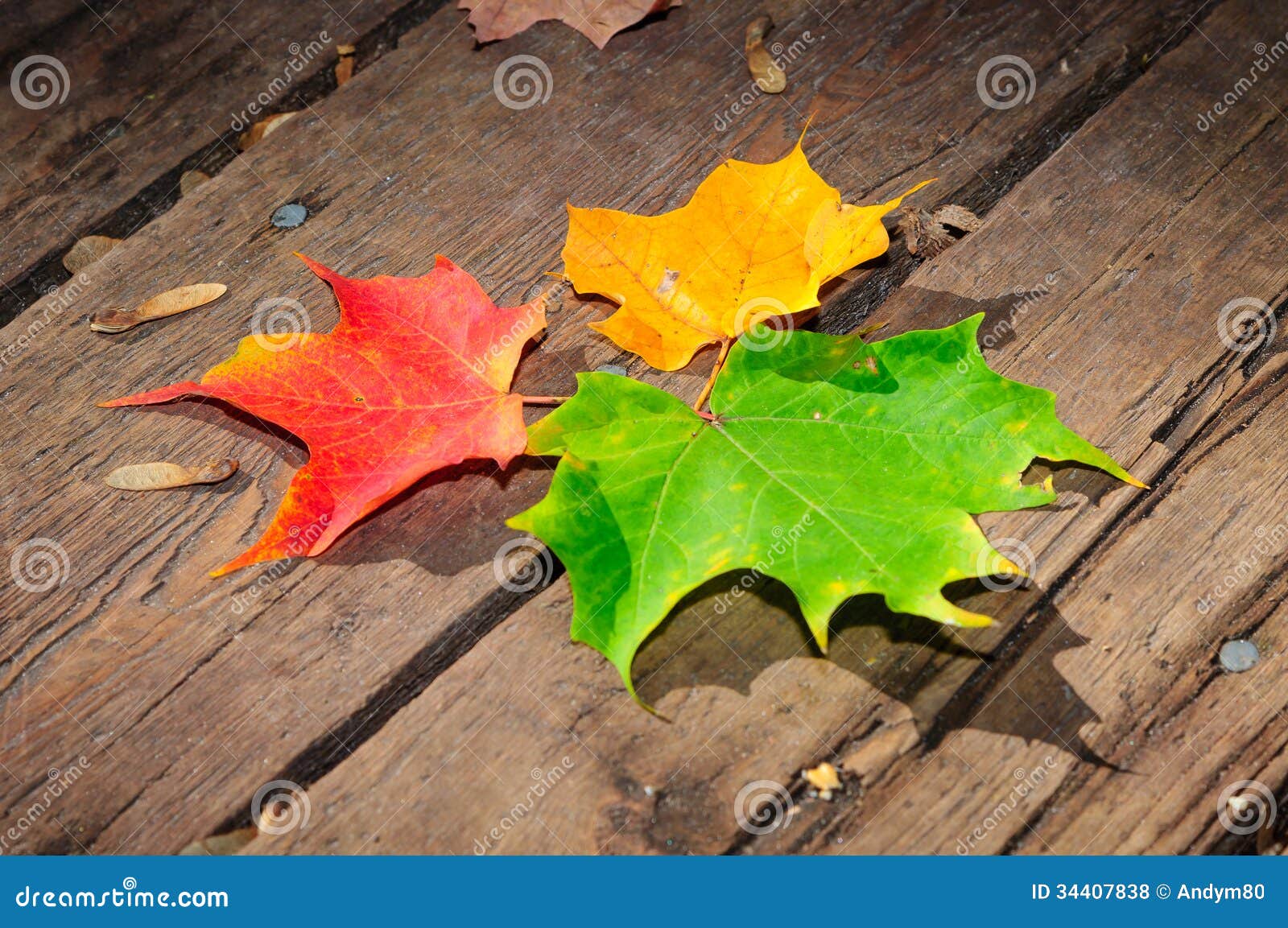 Three Maple Leaves on the Wooden Plank Stock Photo - Image of fall ...