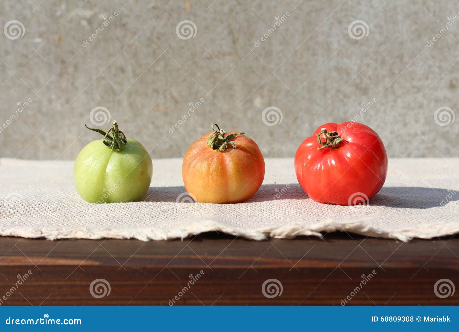 Three Maturities of Tomato. Stock Photo - Image of growth, ripe: 60809308