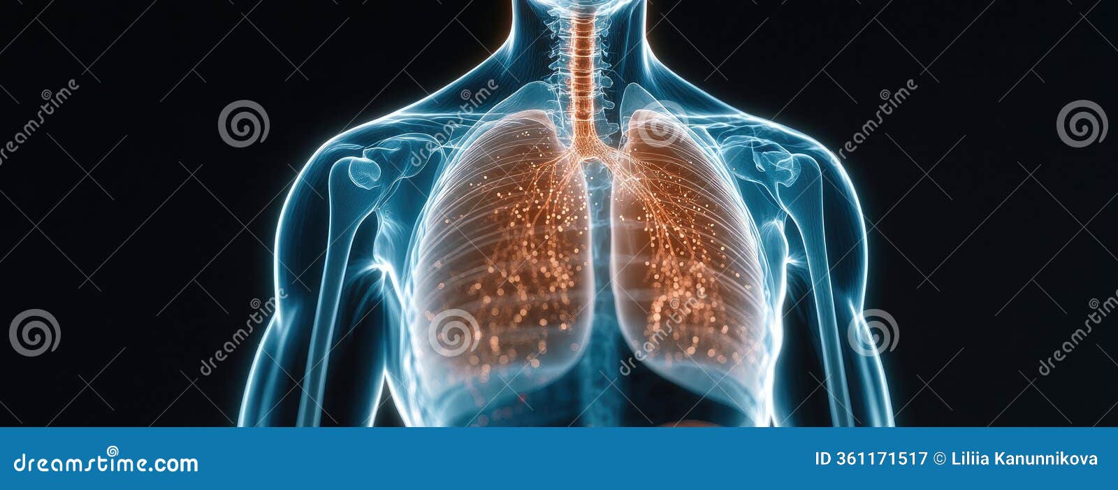 Three Men Display Their Torso with Highlighted Lung Structures ...