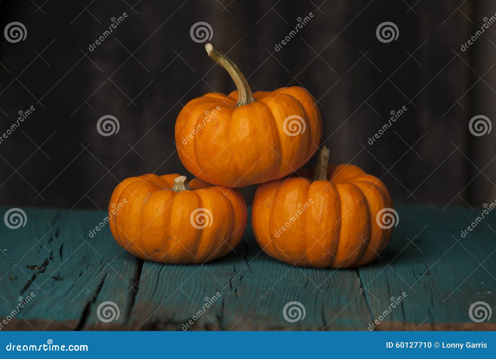 Three Mini Orange Pumpkins on Turquoise Background. Stock Photo - Image ...