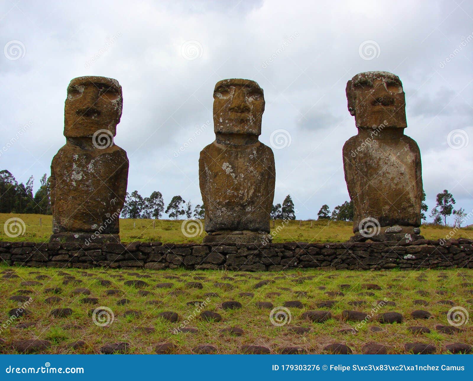 Three moai of Ahu Akivi stock photo. Image of three - 179303276