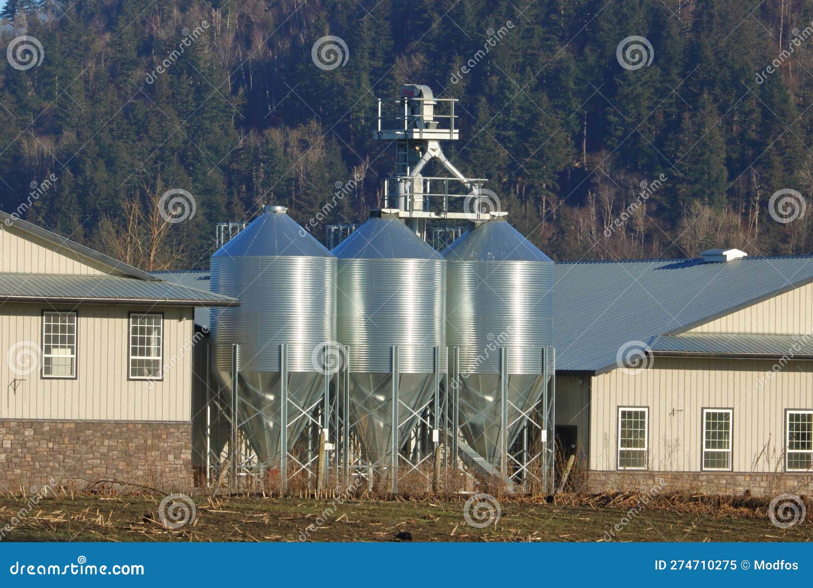 Three Modern Storage Farm Bins Stock Image - Image of background ...
