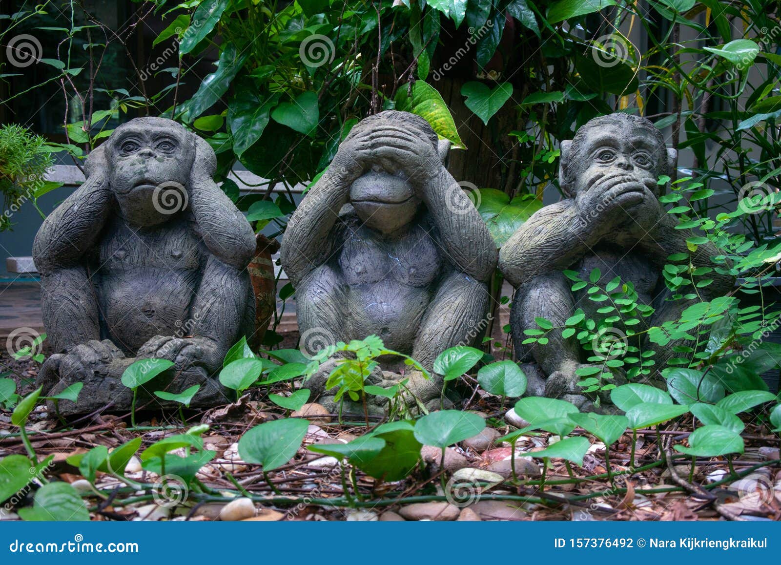 Three monkey statue stand stock photo. Image of nose - 157376492