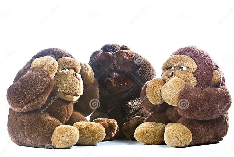 Three monkeys stock image. Image of silence, depicting - 11329243