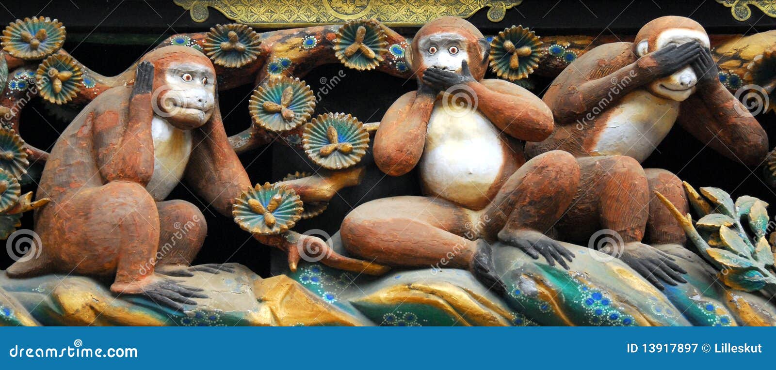 Three monkeys stock image. Image of green, concept, mouth - 13917897