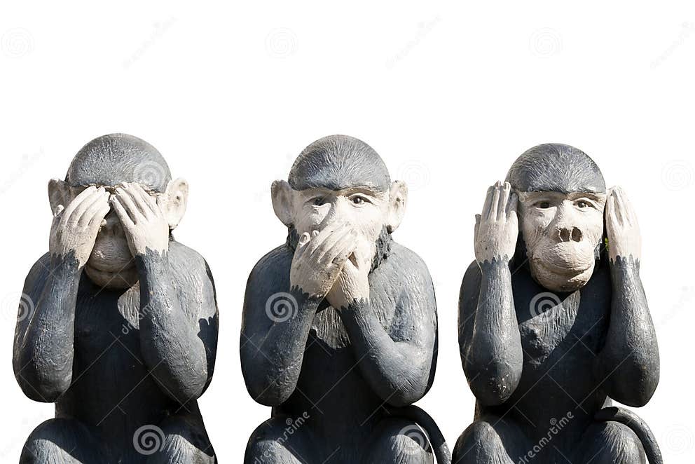 Three monkeys stock photo. Image of white, looking, deaf - 24637080