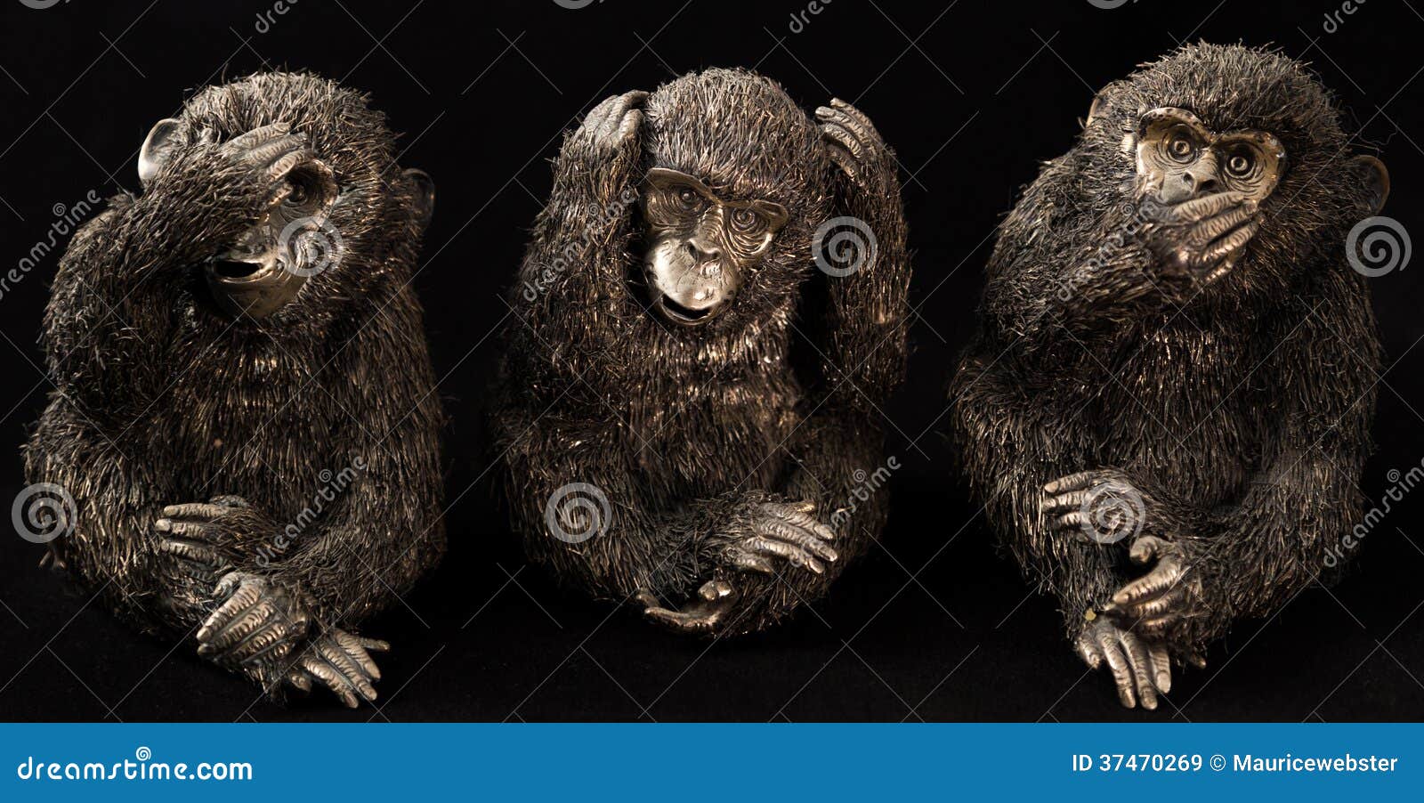 Three monkeys stock image. Image of still, rational, logic - 37470269
