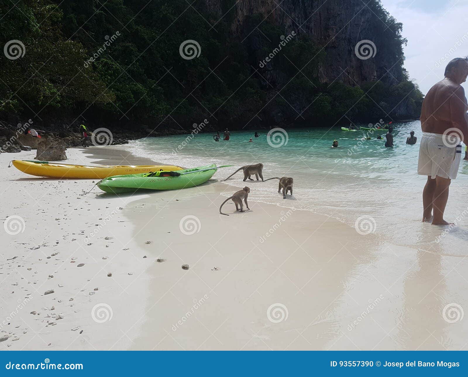 Monkeys On The Beach Royalty-Free Stock Photo | CartoonDealer.com #6456039
