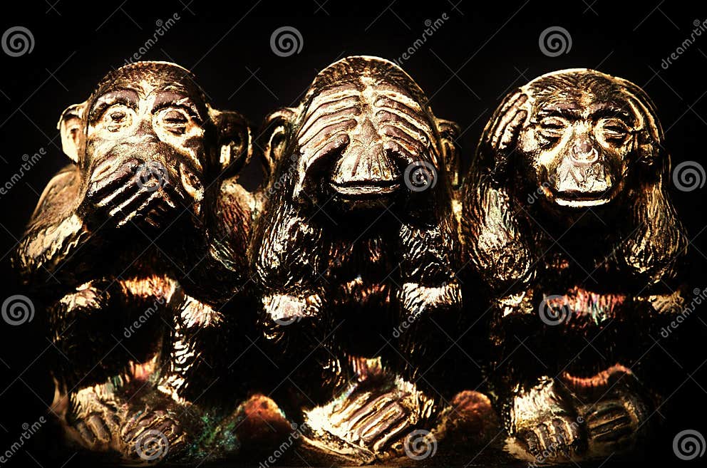 Three Monkeys stock photo. Image of animals, heads, arms - 42329448