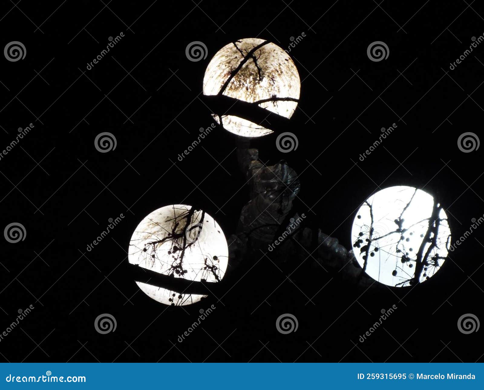 The three moons stock image. Image of darkness, light - 259315695